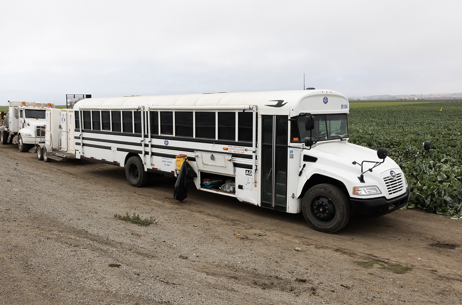 On the Road Again: Chapter 1 of My Baja Journey - Carla King